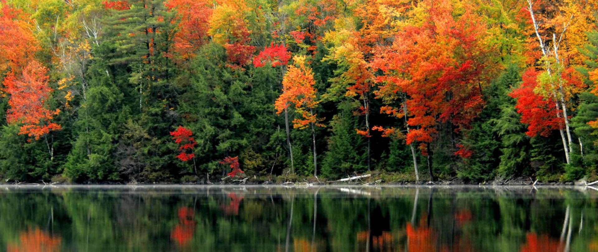 Fall in the Great North Woods | MyGoNorth