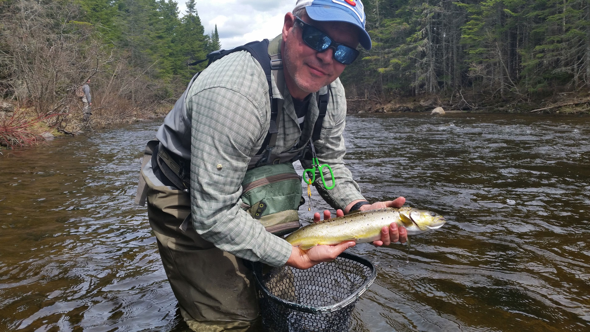 Spring in the New Hampshire - Explore a Season - MyGoNorth