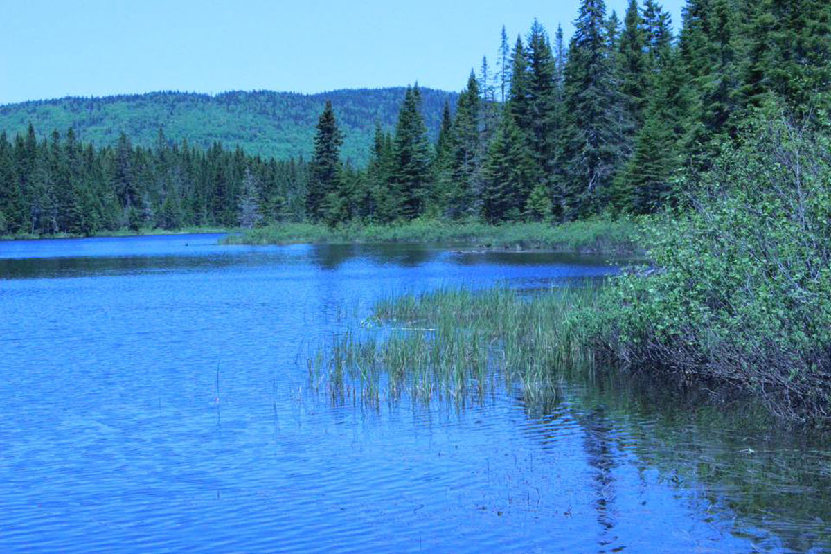 Paddling East Inlet - MyGoNorth