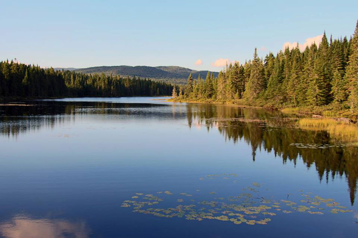 Paddling East Inlet - MyGoNorth